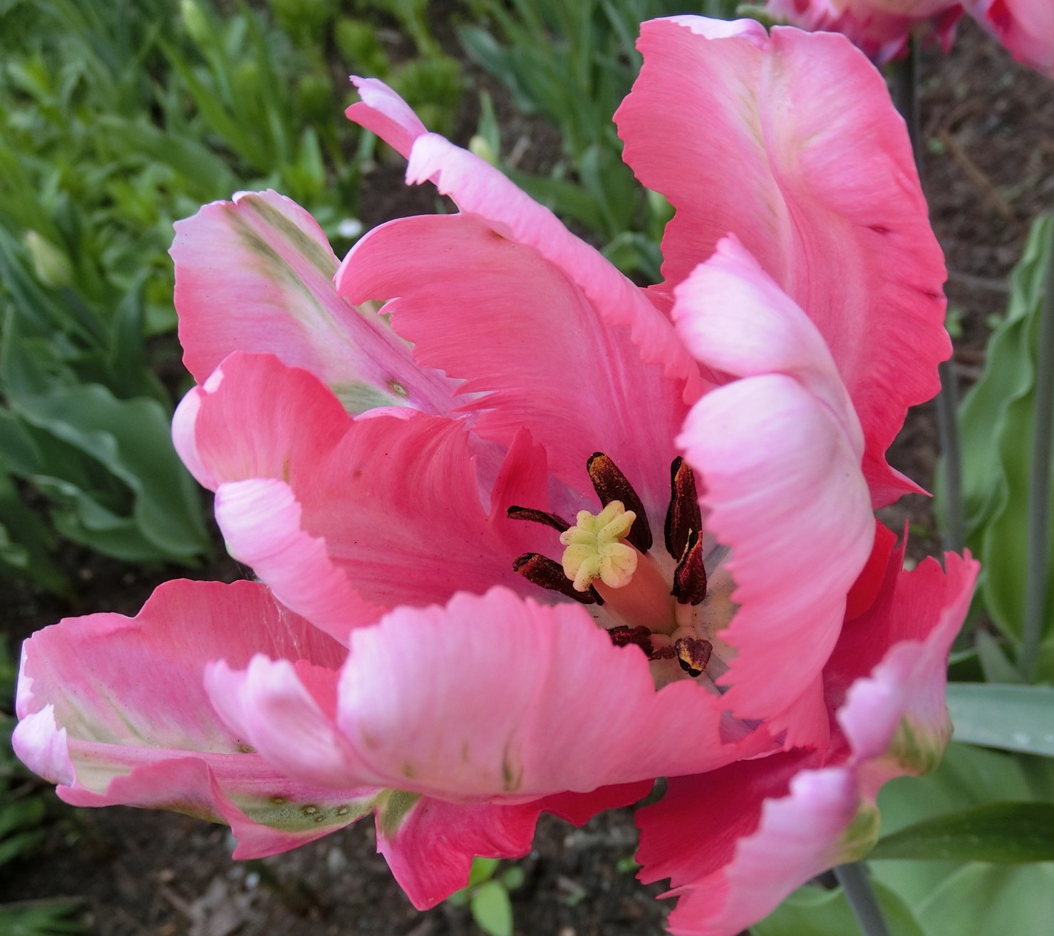 2023 - ブログ｜Spritual Healer - MiCO